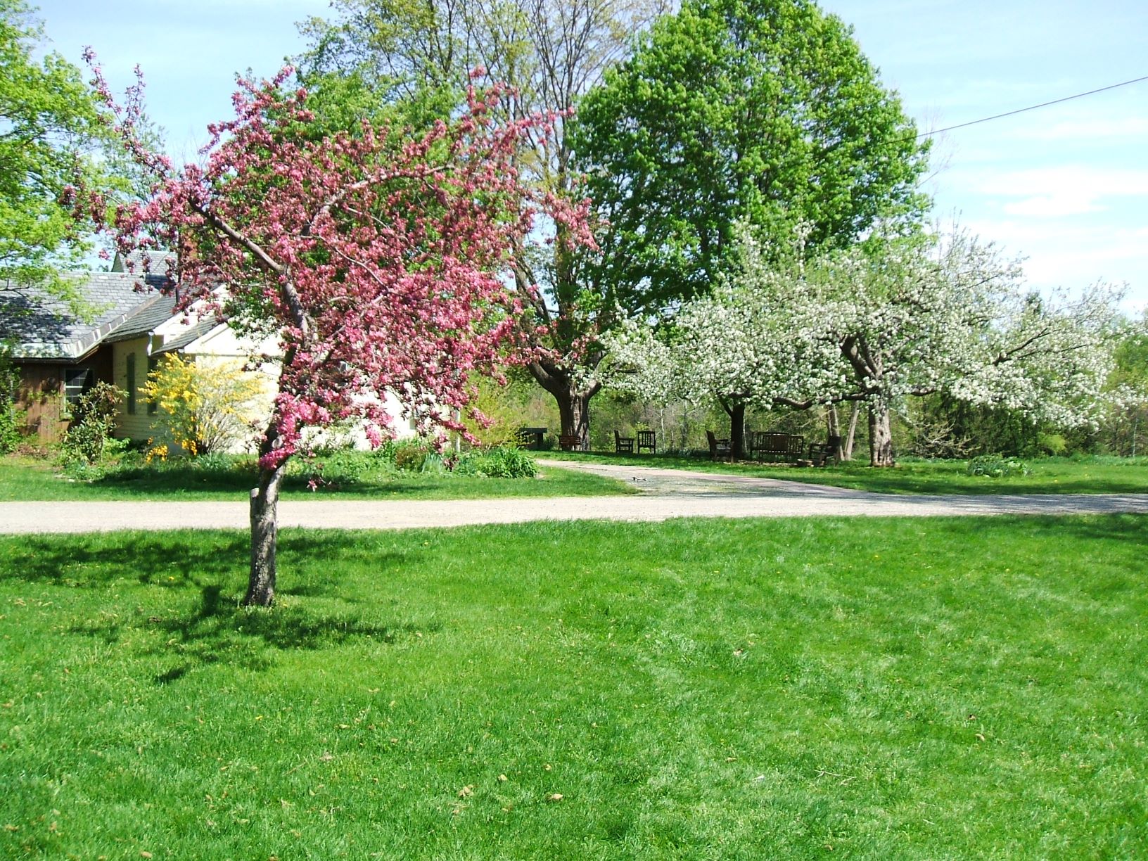 Light from the Hill | WOOLMAN HILL