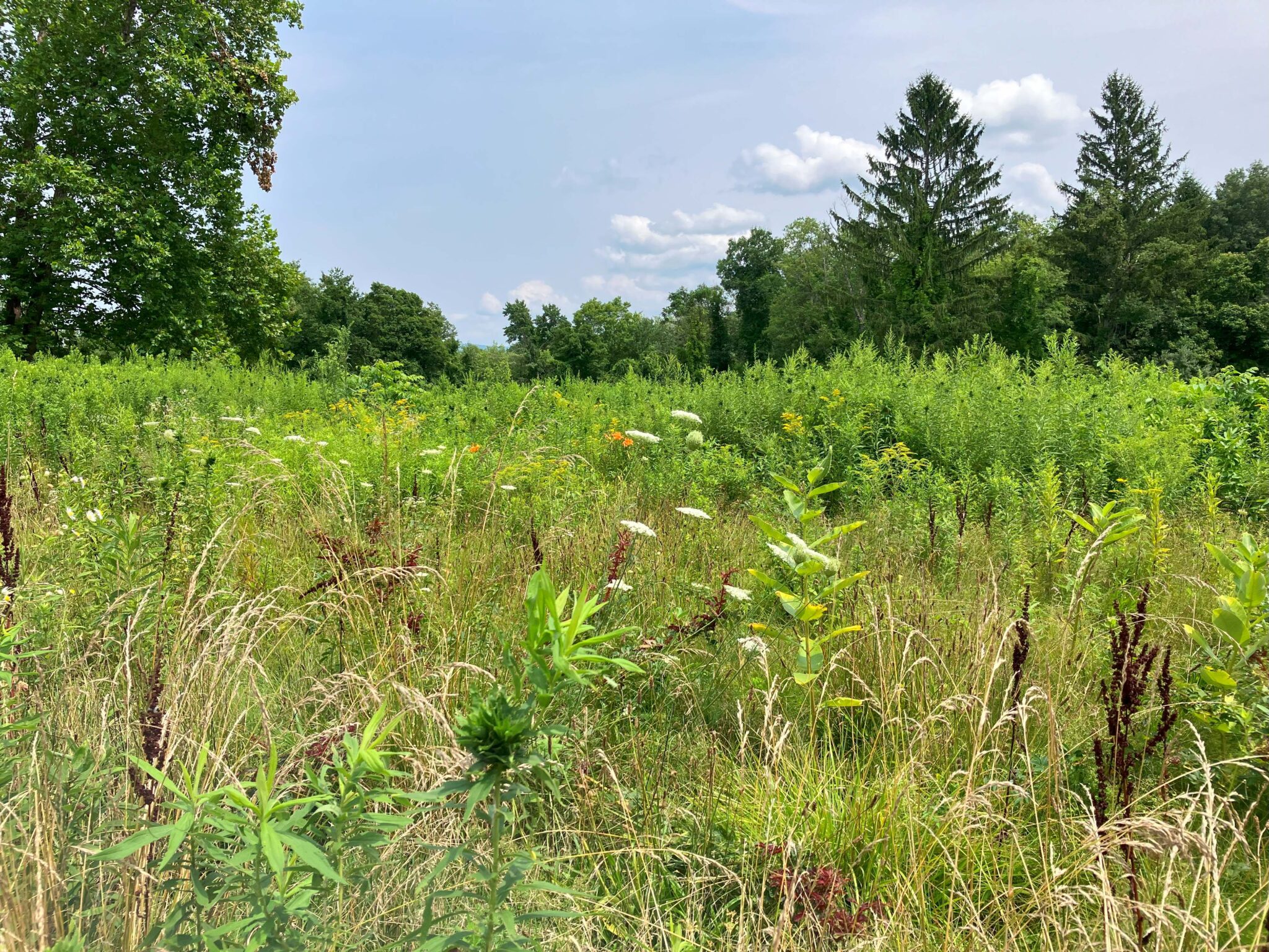 Join our spirit-filled team! | WOOLMAN HILL